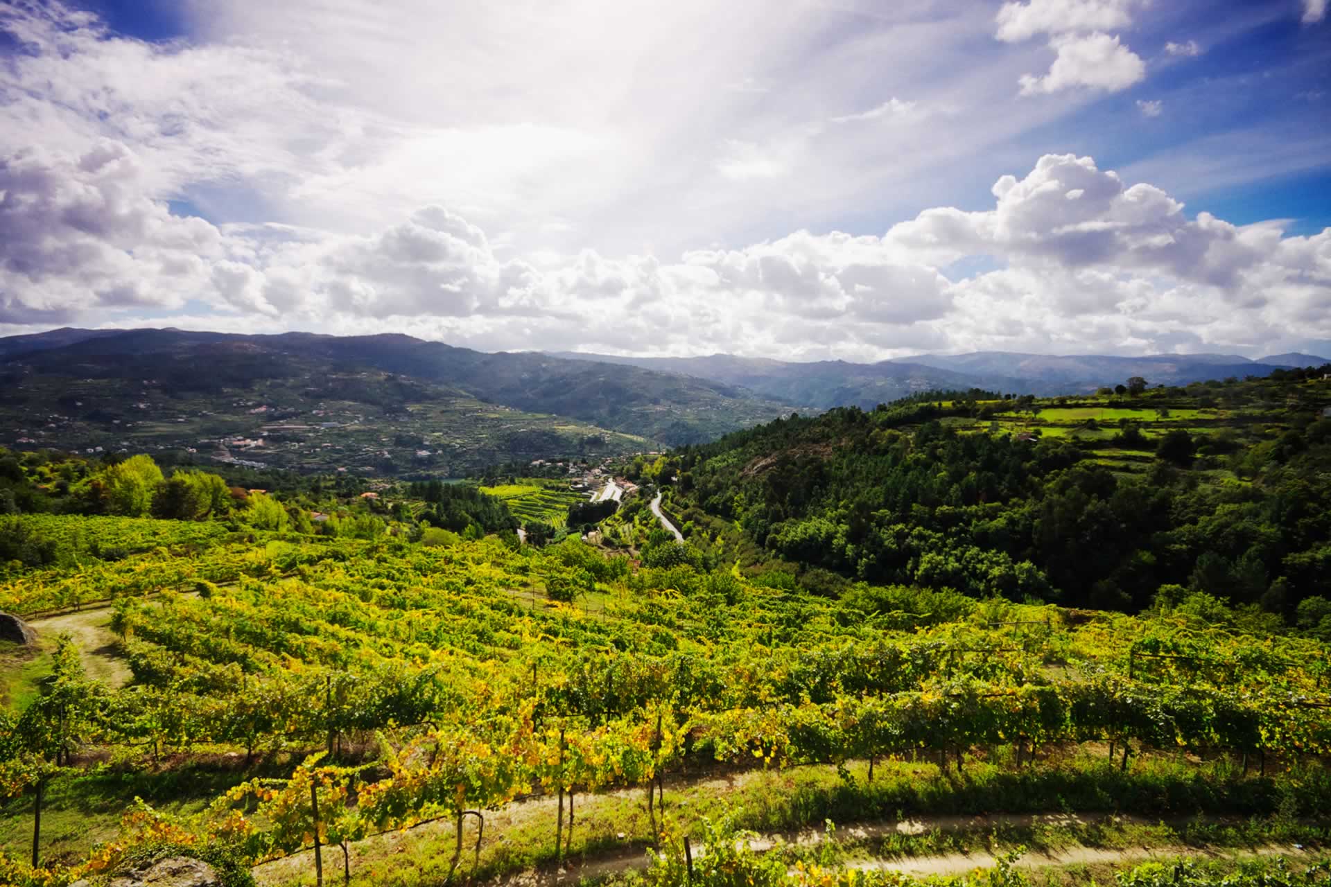 Portugal - Découvrir Beira Baixa et ses point principaux - par SEP Voyages